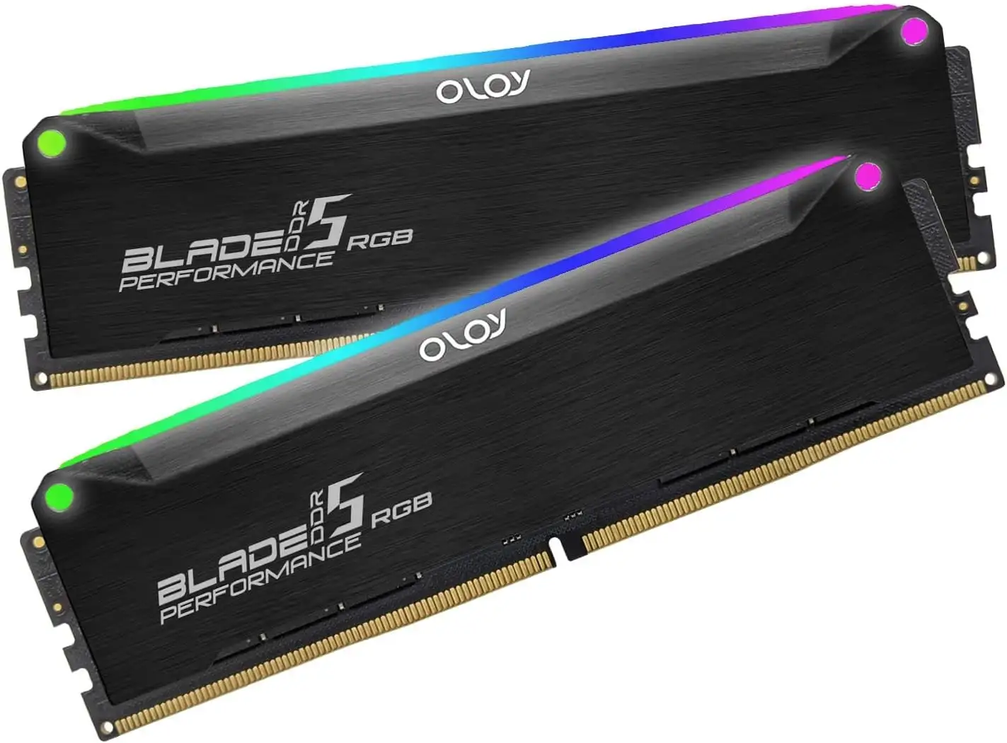 رام OLOy DDR5 RAM 32GB (2x16GB) 6000MHz CL38 UDIMM - كلش زين